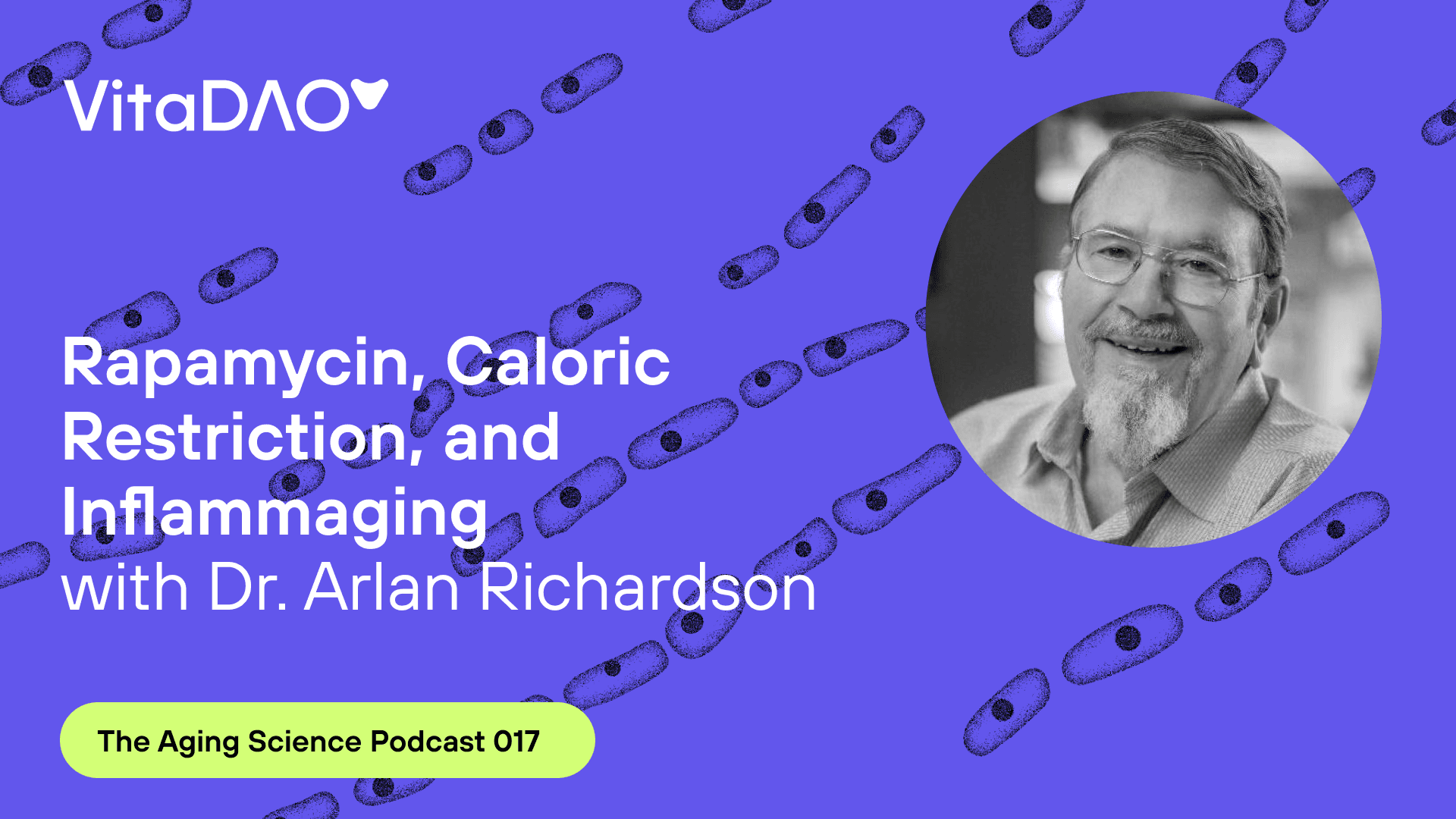 Rapamycin, Caloric Restriction, and Inflammaging with Dr. Arlan ...